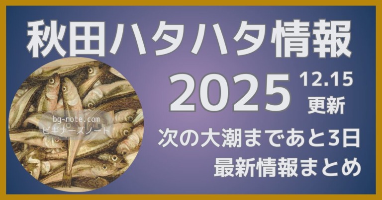 秋田ハタハタ釣り情報 アーカイブ | ビギナーズノート